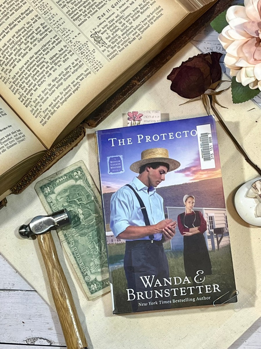 The Protector by Wanda E. Brunstetter – Carla's Book Crush
